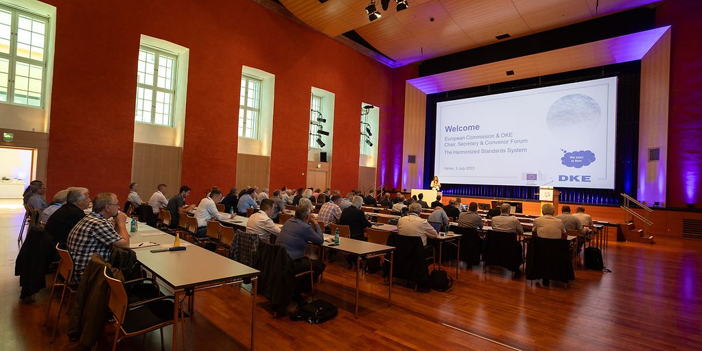 Das Harmonized Standards System (HAS)